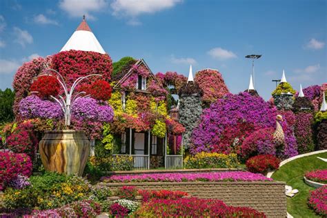Dubai Miracle Garden Uae Colorful Flower Arrangements Gardening