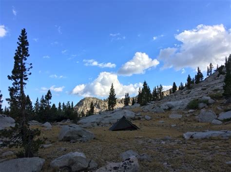 Sweeping The Garden Craig Wisner