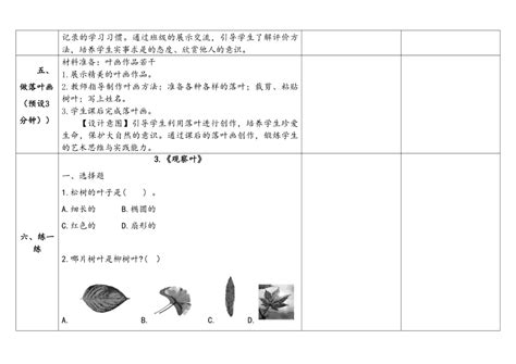 教科版一年级科学上册 1 3观察叶表格式教案 21世纪教育网 二一教育