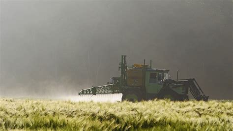 Phytotoxicity Causes And How To Minimize The Risk Agrio