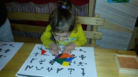 ტანგრამი ლოგიკის პატარა სახლი Patara Sakhli