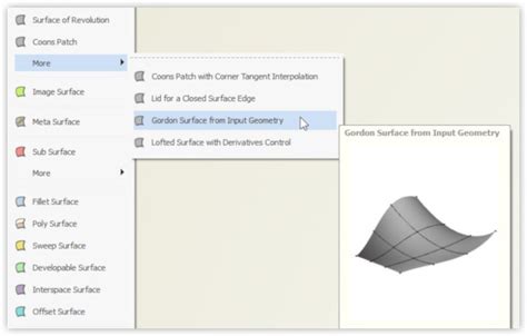 Gordon Surface For Curve Networks › Caeses