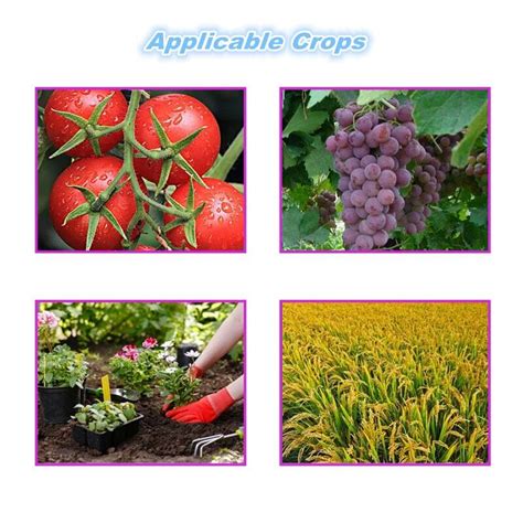 1000gbag Trichoderma Harzianum Trichoderma Fungi For Root Management