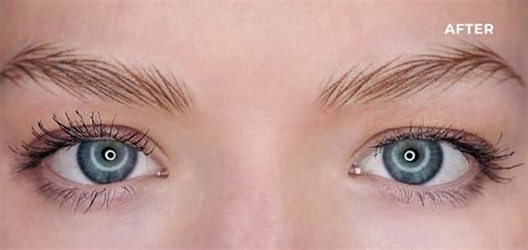 Microblading Vs Nano Machine Strokes Leelash And Contour