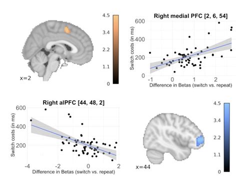 Social Cognitive And Affective Neuroscience Social Neuroscience Lab Lübeck University