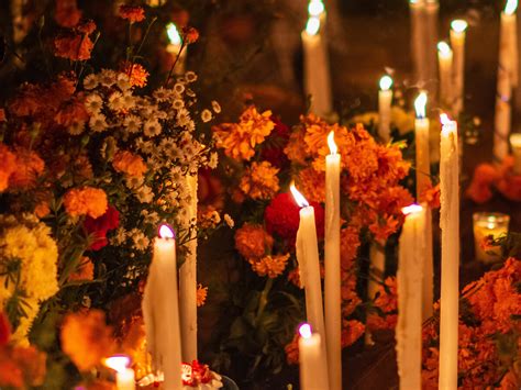 Why Marigolds Are The Iconic Flower Of The Day Of The Dead Npr
