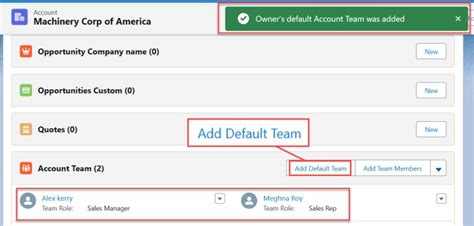 Add Account Team Members In Salesforce