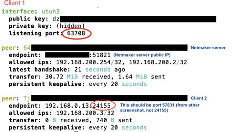 [bug] netmaker is giving wrong port number public port to machines on same local network
