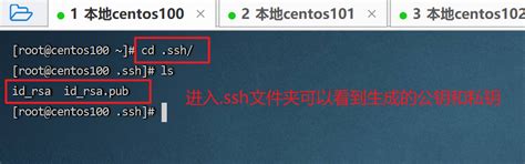 虚拟机之间配置免密登录虚拟机免密登录 Csdn博客