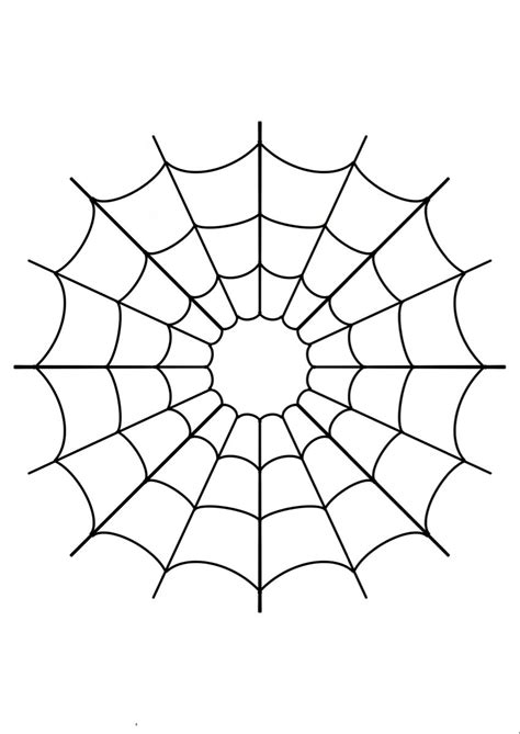 Intricate Spider Web Design