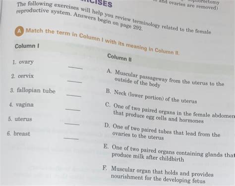 [answered] Ses The Following Exercises Will Help You Review Terminology Kunduz