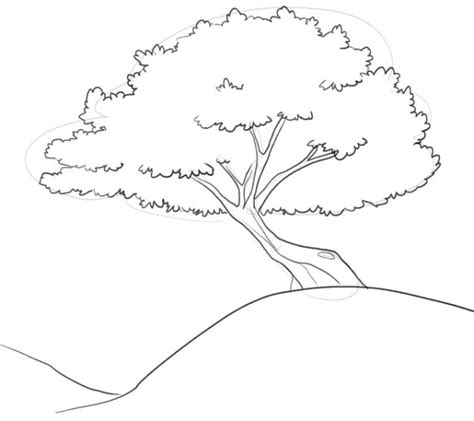 Easy Tree Drawing Tutorial With Video Images