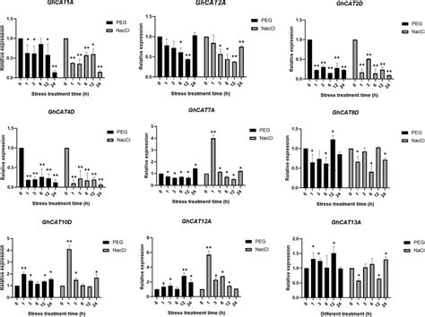 Validation Of The Expression Patterns Of Cat Genes By Qrt Pcr