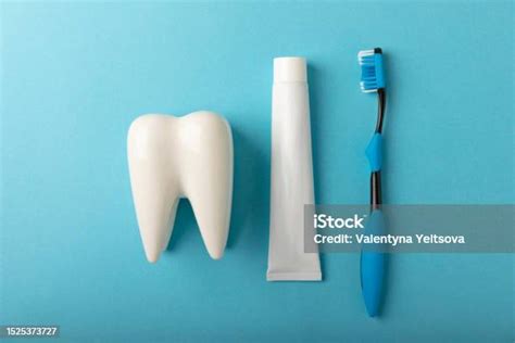 파란색 배경에 칫솔이있는 흰색 치아의 청소 모델 치과 위생의 개념 플라크 및 잇몸 질환의 예방 충치의 예방 모형 0명에 대한 스톡 사진 및 기타 이미지 Istock