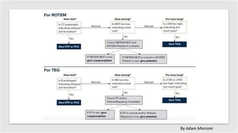 4 Anticoagulation During Ecmo Beach2019 Peperstraete Pptx Blood