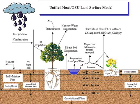 Noah Land Surface Model Download Scientific Diagram