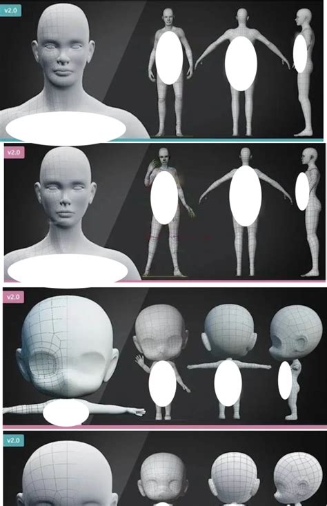 C4d Blender海底生物扇贝海螺贝壳海星海洋生物obj模型素材带贴图 Cg男孩