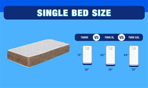 Dimensions Of A Single Size Bed At Lola Giles Blog