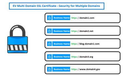 Multi Domain SSL With EV Combine Scalability With Highest Assurance