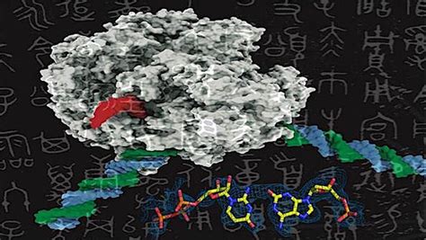 Nanotechnology And Synbio Archives Astrobiology
