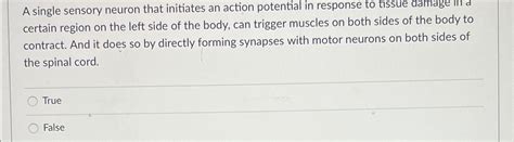 Solved A Single Sensory Neuron That Initiates An Action