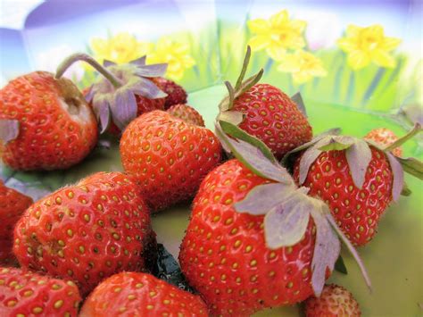 딸기 과일 빨간색 Pixabay의 무료 사진