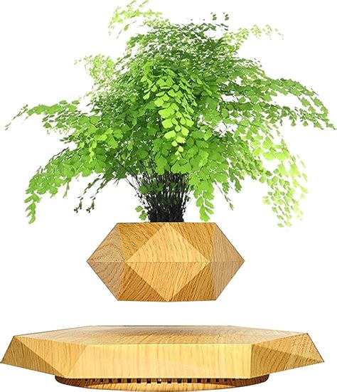 Inovaxion Levitating Plant Pot Magnetic Floating Plant Pot