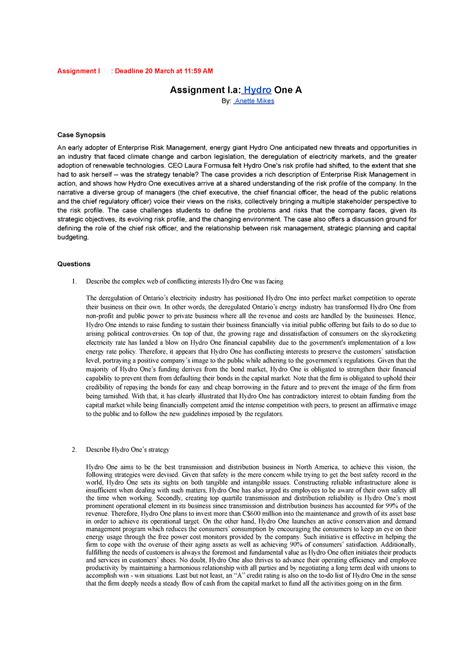 ERM Assignment 1 Assignment I A Hydro One A By Anette Mikes Assignment I Deadline 20 March