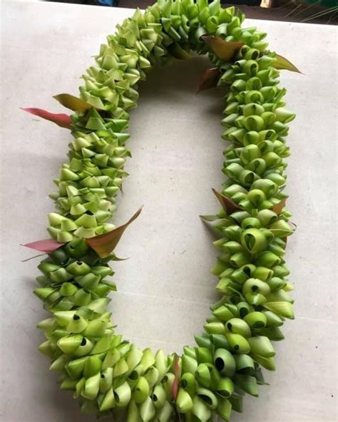 밸리오브더라떼 🇬🇺 티 잎은 꽃 화환 꽃 왕관 및 기타 장식품을 만드는 데 태평양 전역에서 널리