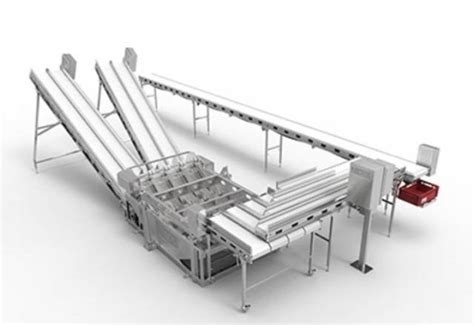 Food Processing Systems Everything You Need To Know