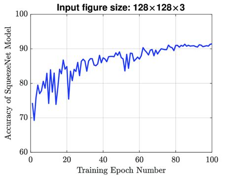 Validation Accuracy Of The Squeezenet Model With The Input Image Size