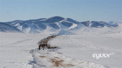 Энэ өвөл төмөр зуд болох эрсдэл ажиглагдаж байна Eguur Mn