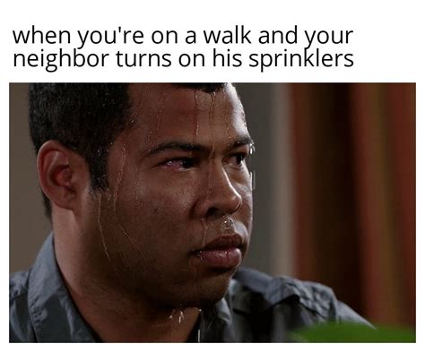 Wet Clothes Memes