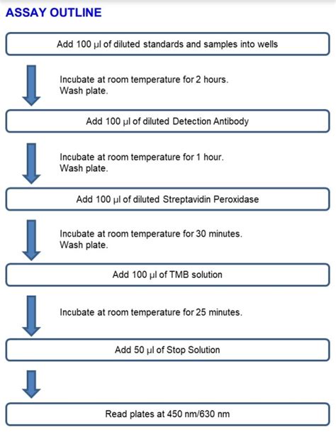 Mouse Vascular Endothelial Growth Factor Vegf Detection Assay Kit