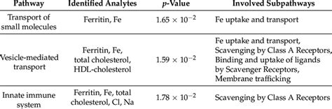 List Of The Main Significantpathways Identified By The Analysis On The Download Scientific