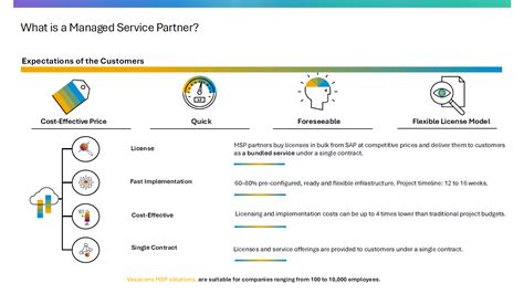 Managed Service Provider Msp Partner Modeli Vesacons