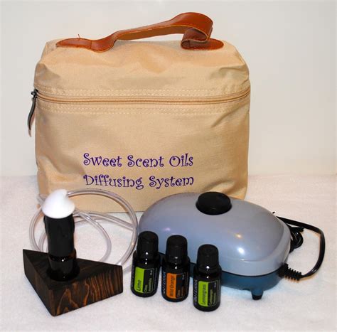 Essential Oil Atomizing Diffuser 110v Us Health And Household