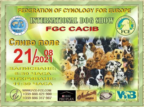 Киноложка изложба събира в Сливо поле над 100 участници от България