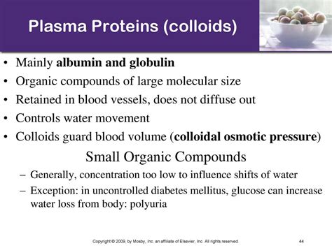 Chapter 8 Minerals Ppt Download