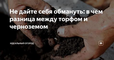 Не дайте себя обмануть в чем разница между торфом и черноземом Идеальный огород Дзен