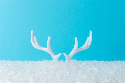 밝은 파란색 배경과 눈에 흰색 순록 뿔 최소한의 새해 또는 크리스마스 개념입니다 12월에 대한 스톡 사진 및 기타 이미지 12월 개념 겨울 Istock