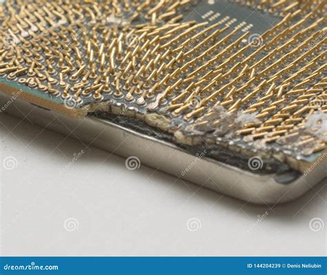 Broken Processor Macro Cpu Stock Image Image Of Socket 144204239