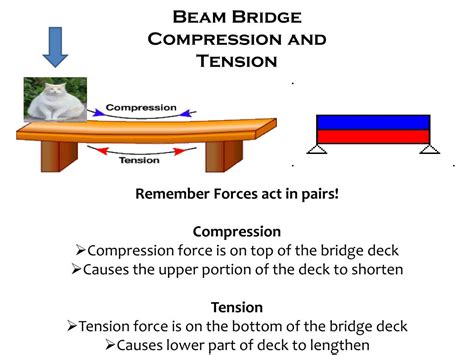 Beam Bridge Tension And Compression