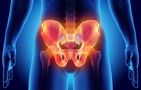 Pelvis Quiz Doquizzes