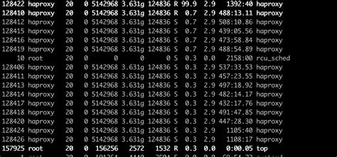 Haproxy 2214 Cpu Core Usage 100 Issue · Issue 1328 · Haproxyhaproxy · Github