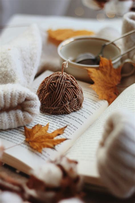 실내 가을 가을의 느낌 가을의 미학 가을의 분위기 계절 과일 독서하는 따뜻한 떨어지다 러스틱 머그 무화과 바닐라 배 빈티지 수직 쐈어