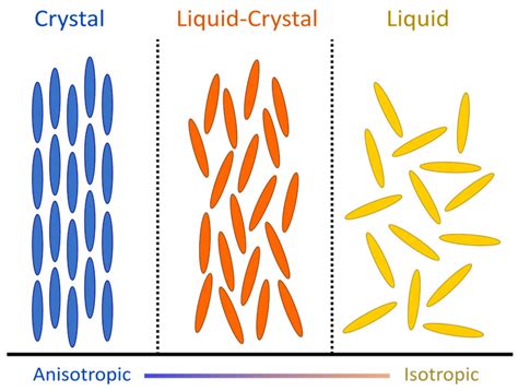 The Nematic Chiral Liquid Crystal Structure Of The Cardiac