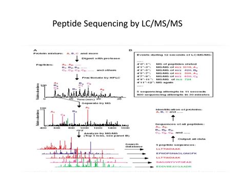 Ppt Introduction To Mass Spectrometry Based Protein Identification
