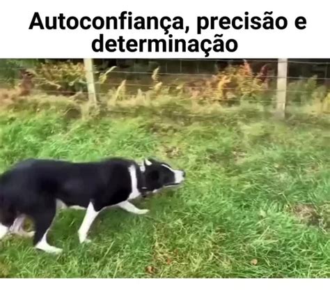 Michelly Freitas On Linkedin Em Meio Aos Obstáculos Mantenha O Foco E