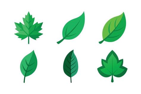 Leaf Animation Vector Art Icons And Graphics For Free Download